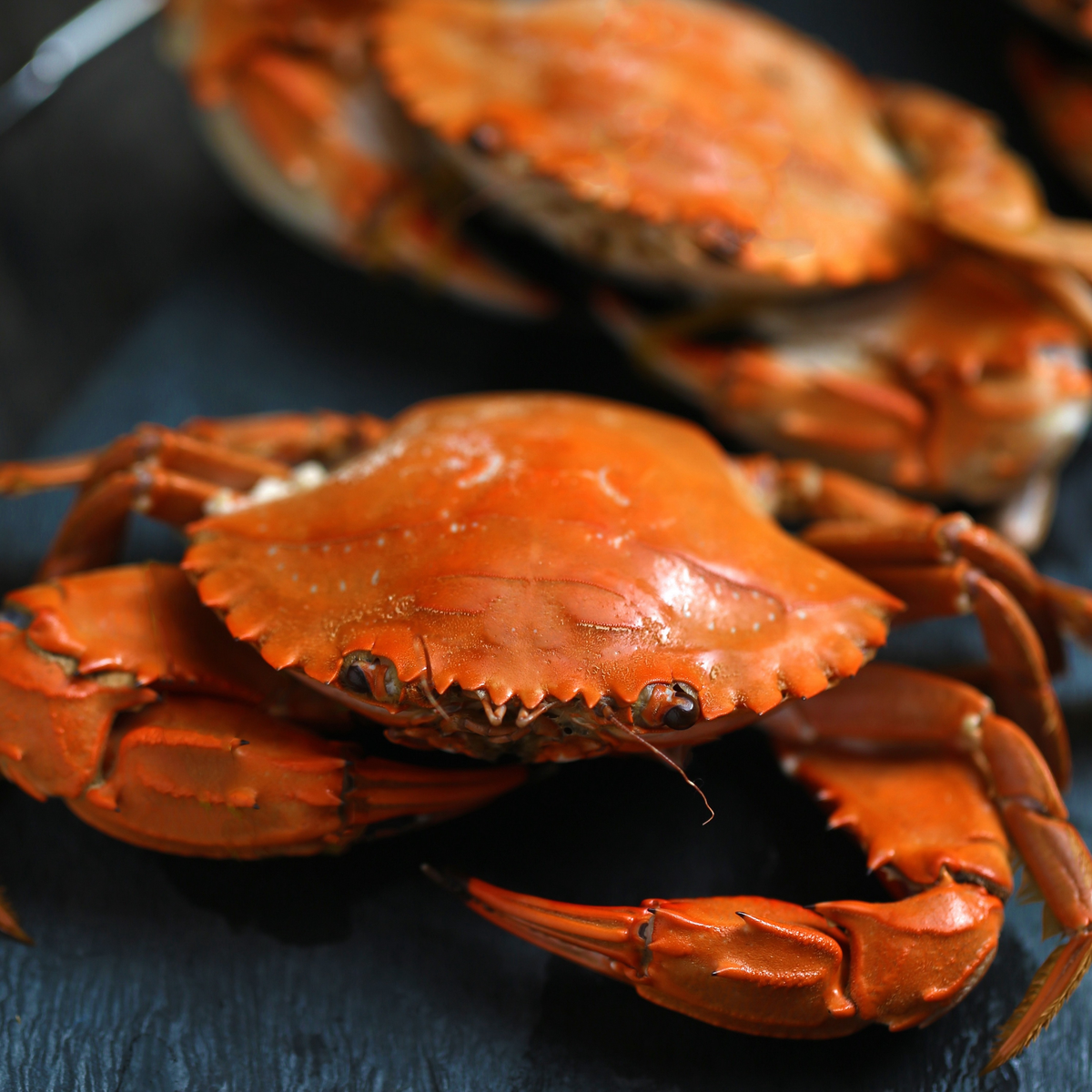 Crab And Shrimp And Lobster Bestco Fresh Foods