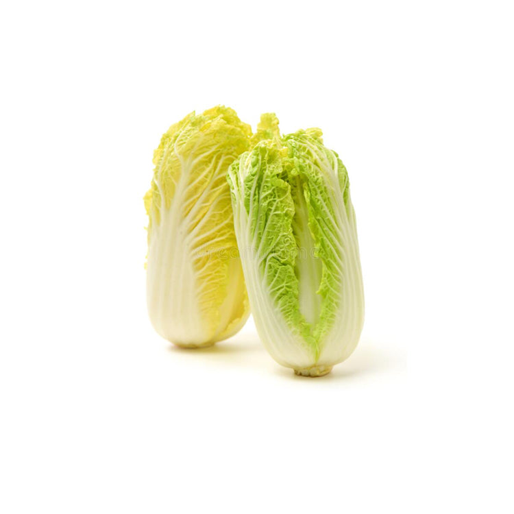 Baby Nappa Cabbage – Bestco Fresh Foods